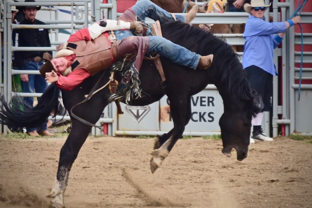 There's Nothing Rougher Than the Rough Stock Rodeo - The Town of ...